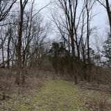 Pequest Wildlife Management Area Trails, New Jersey - 64 Reviews, Map ...