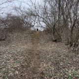 Pequest Wildlife Management Area Trails, New Jersey - 64 Reviews, Map ...