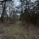 Pequest Wildlife Management Area Trails, New Jersey - 64 Reviews, Map ...