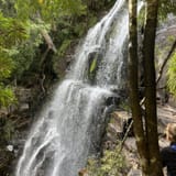 Overland Track: Kia Ora to Windy Ridge (Bert Nichols Hut), Tasmania ...