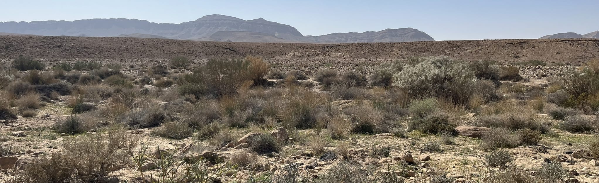 Mount Gamal and Nahal Ramon: 67 Reviews, Map - Southern District ...