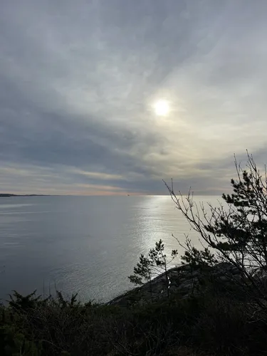 Best Hikes and Trails in Langesundstangen nature reserve | AllTrails