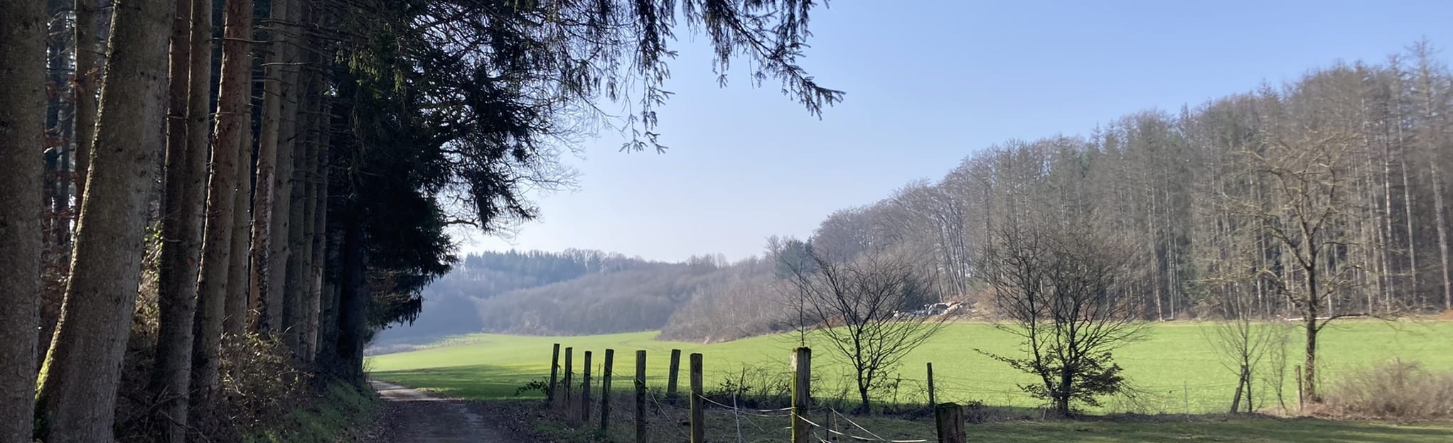 Rundwanderroute Kehlen: 28 Reviews, Map - Capellen, Luxembourg | AllTrails