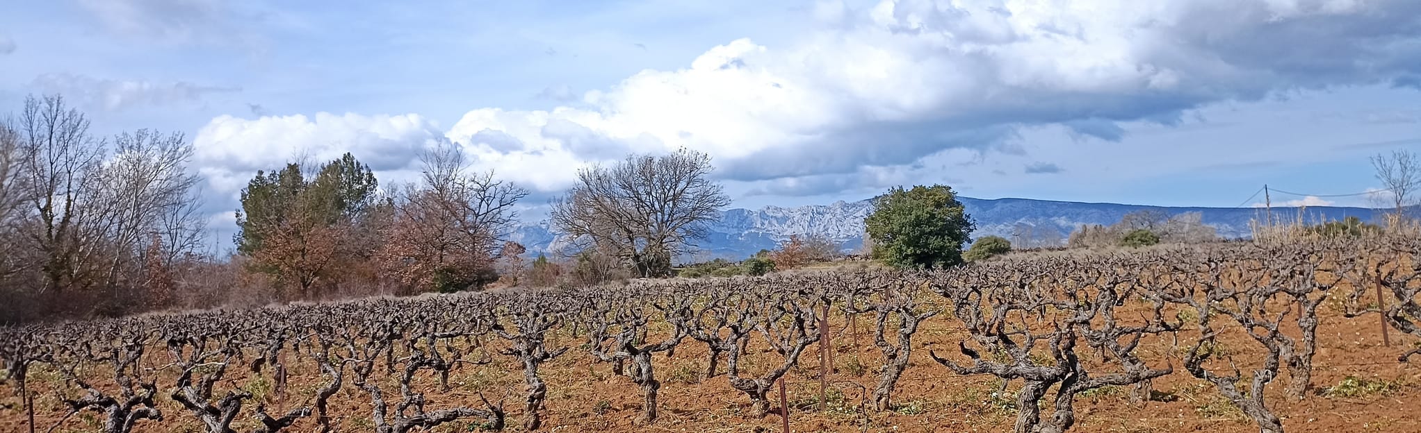 AllTrails | Trets vineyard trail: 16 Reviews, Map - Bouches-du-Rhône ...