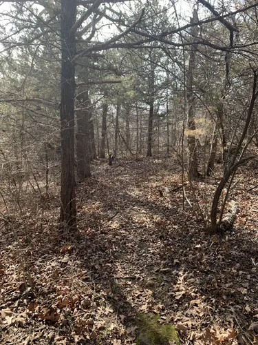 Best Hikes and Trails in Toronto State Park | AllTrails