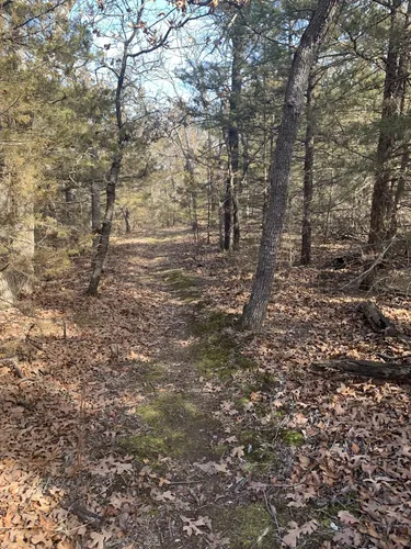 Best Hikes and Trails in Toronto State Park | AllTrails