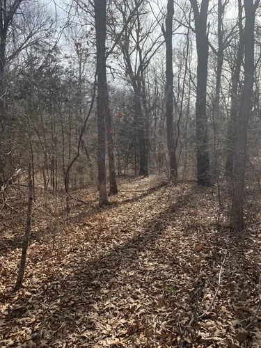 Best Hikes and Trails in Toronto State Park | AllTrails