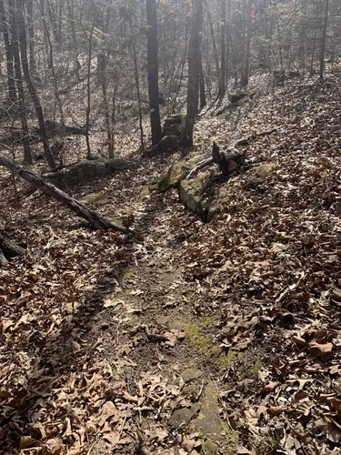 Best Hikes and Trails in Toronto State Park | AllTrails