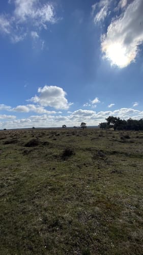 De 10 beste wandelroutes en hikes in Eerbeek voor 2023 | AllTrails