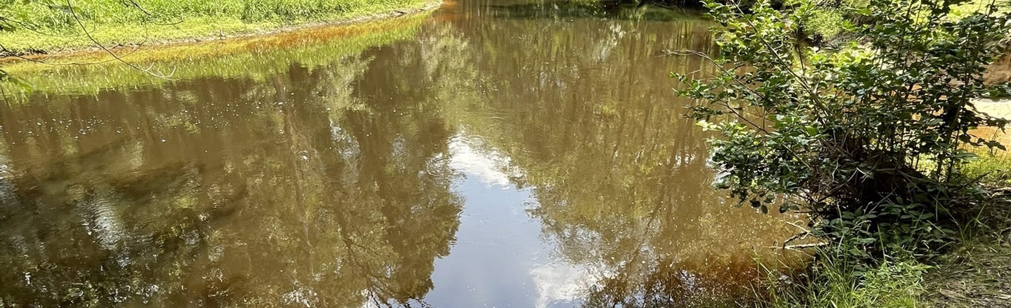 Chalk Banks Orange and Blue Trail, North Carolina - 44 Reviews, Map ...