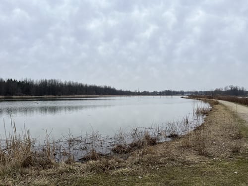 Best Hikes and Trails in Sandy Ridge Reservation | AllTrails