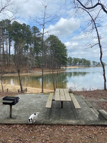 Best Hikes and Trails in Fort Gordon Recreation Area | AllTrails