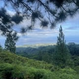 Mount Marau, Tahiti, French Polynesia - 113 Reviews, Map | AllTrails
