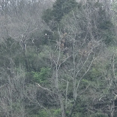 Best Hikes and Trails in Ted Rhodes Park | AllTrails