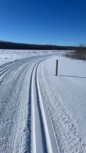 Best Hikes and Trails in Preeceville | AllTrails