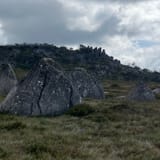 Porcupine Rocks Loop, New South Wales, Australia - 47 Reviews, Map ...