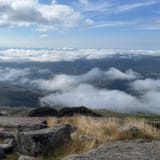 Porcupine Rocks Loop, New South Wales, Australia - 47 Reviews, Map ...