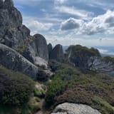 Porcupine Rocks Loop, New South Wales, Australia - 47 Reviews, Map ...