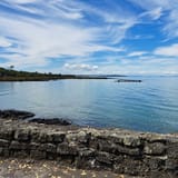 Rangitoto Island Summit Track, Auckland, New Zealand - 255 Reviews, Map ...