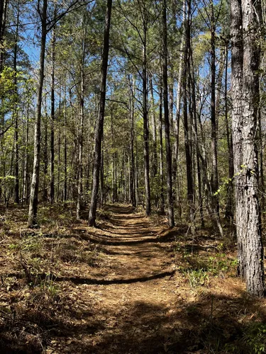 Best Hikes and Trails in Chicot State Park | AllTrails