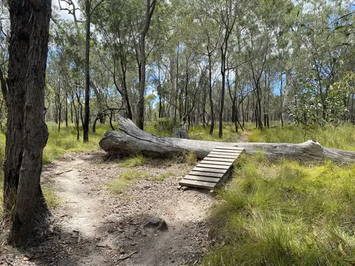 Best Hikes and Trails in Scribbly Gums Conservation Area | AllTrails