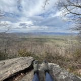 Tamassee Knob Trail, South Carolina - 306 Reviews, Map | AllTrails