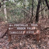 Tamassee Knob Trail, South Carolina - 306 Reviews, Map | AllTrails