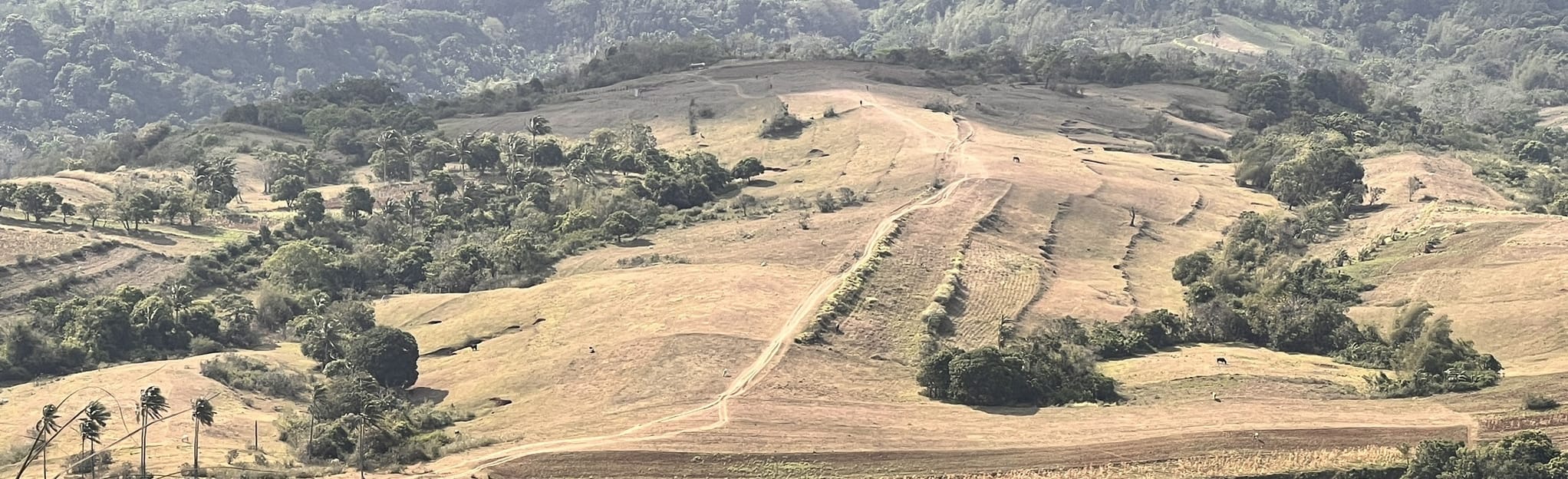 Mount Talamitam, Batangas, Philippines - 7 Reviews, Map | AllTrails