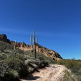 Bulldog Canyon OHV Route, Arizona - 472 Reviews, Map | AllTrails