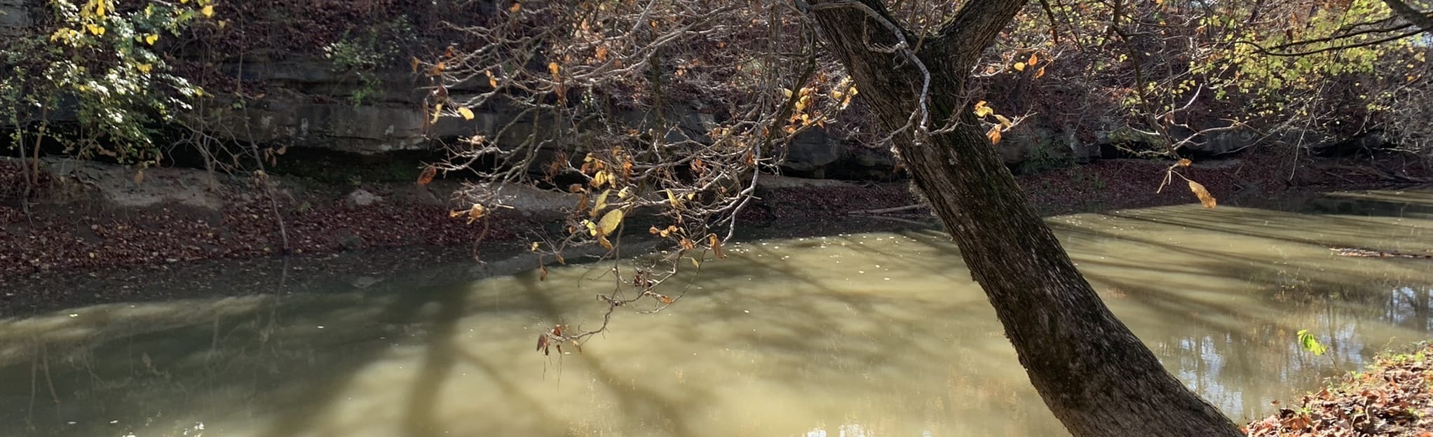 Jasper River Walk, Indiana - 102 Reviews, Map | AllTrails