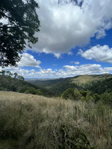 10 Best Hikes and Trails in Bunya Mountains National Park | AllTrails