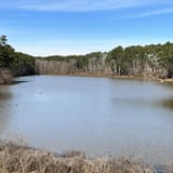 Heath Lake Loop, Georgia - 413 Reviews, Map | AllTrails