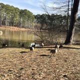 Heath Lake Loop, Georgia - 413 Reviews, Map | AllTrails