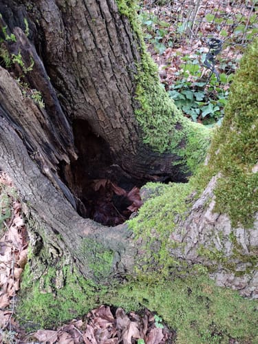 2023 Best trails in Avery Park | AllTrails