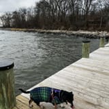 Fort Howard Park Trail, Maryland - 216 Reviews, Map | AllTrails