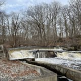 Hunt's Mill Trail, Rhode Island - 412 Reviews, Map | AllTrails