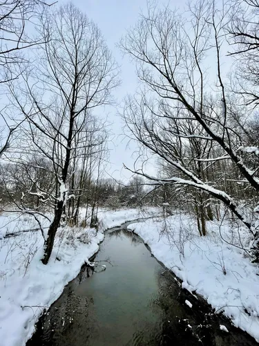 Best Hikes and Trails in Embro Conservation Area | AllTrails