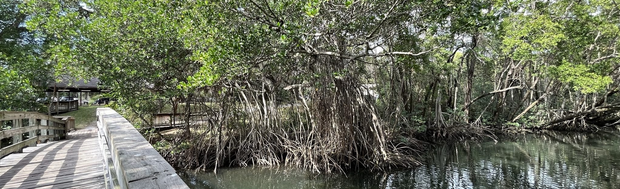 Enchanted Forest Walk, Florida - 42 Reviews, Map | AllTrails