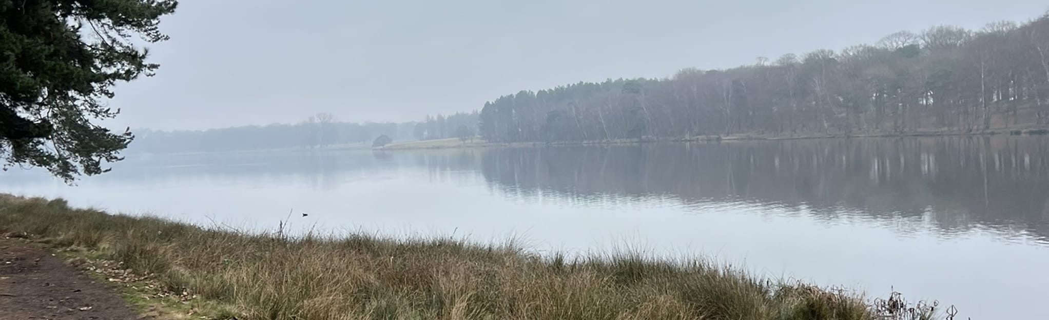 Tatton Mere Short Circular: 22 Reviews, Map - Cheshire, England | AllTrails