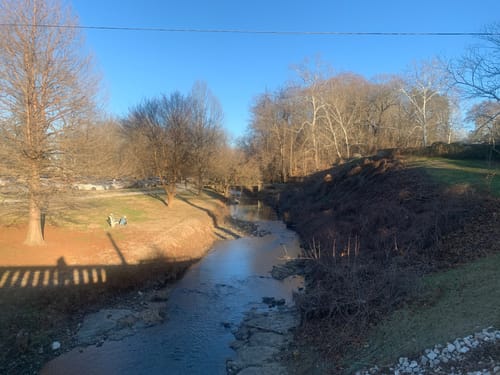 Best Hikes and Trails in Ritter Park | AllTrails