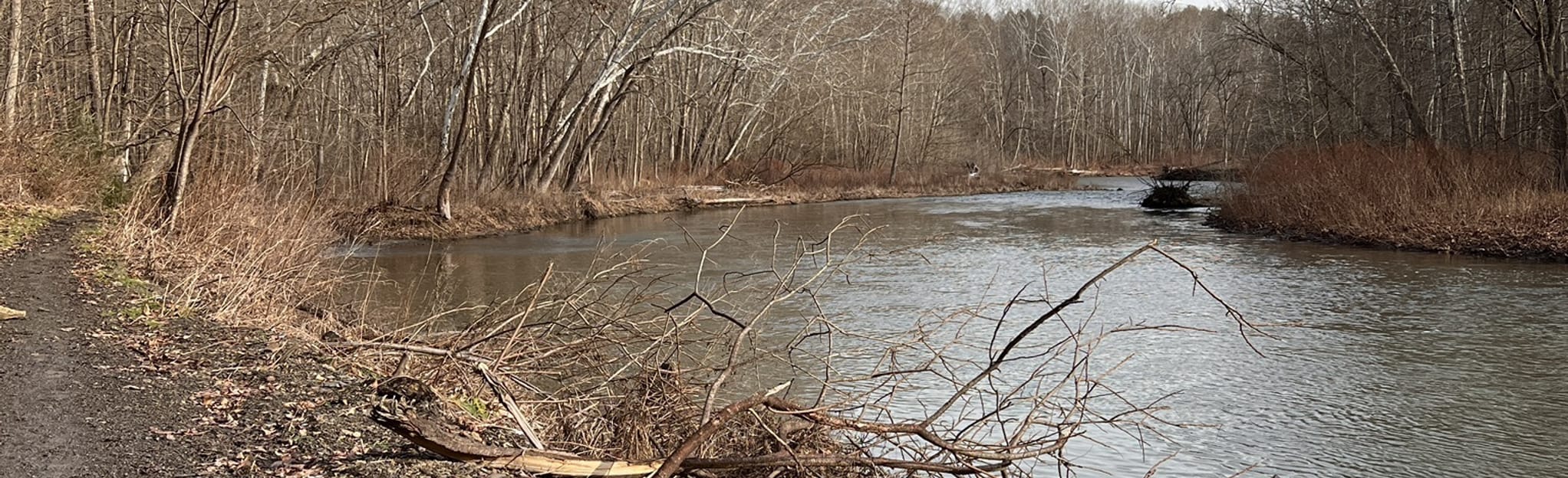 Beaver Creek Horse Trail via Horseman's Camp: 74 Reviews, Map - Ohio ...