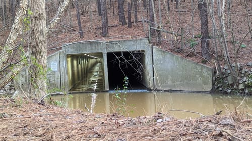 Best Hikes and Trails in Carl Alwin Schenck Memorial Forest | AllTrails