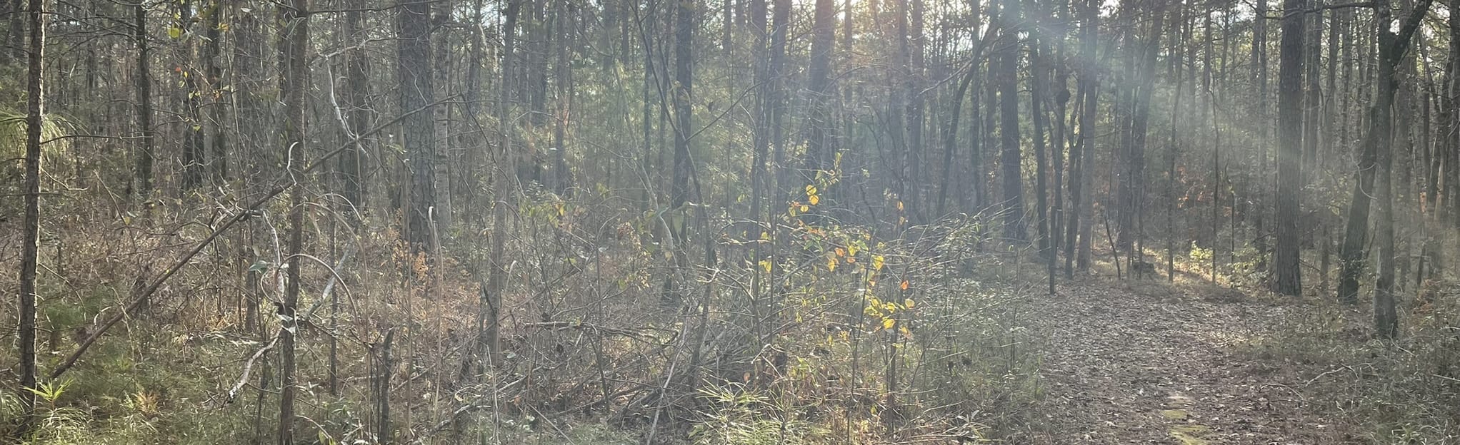 Long Cane Recreation Park Loop, Georgia - 19 Reviews, Map | AllTrails