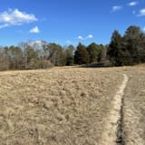 Ellisville Harbor State Park Trail, Massachusetts - 398 Reviews, Map ...