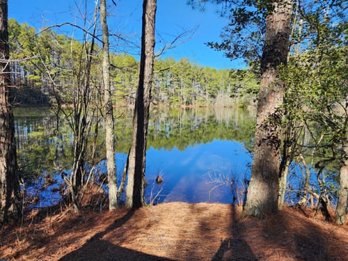 Best Hikes and Trails in Pocomoke River State Park | AllTrails