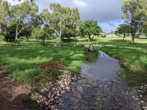 Best Hikes and Trails in Plantation Park | AllTrails