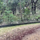 Cardinia Aqueduct Trail, Victoria, Australia - 239 Reviews, Map | AllTrails