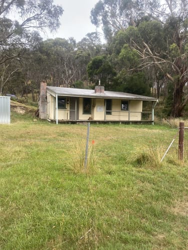 Best Hikes and Trails in Bungal State Forest | AllTrails