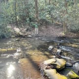 Lumber Ridge Trail, Tennessee - 211 Reviews, Map | AllTrails