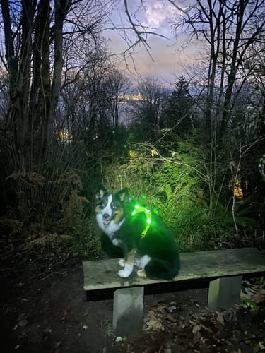 Best Hikes and Trails in Frink Park | AllTrails